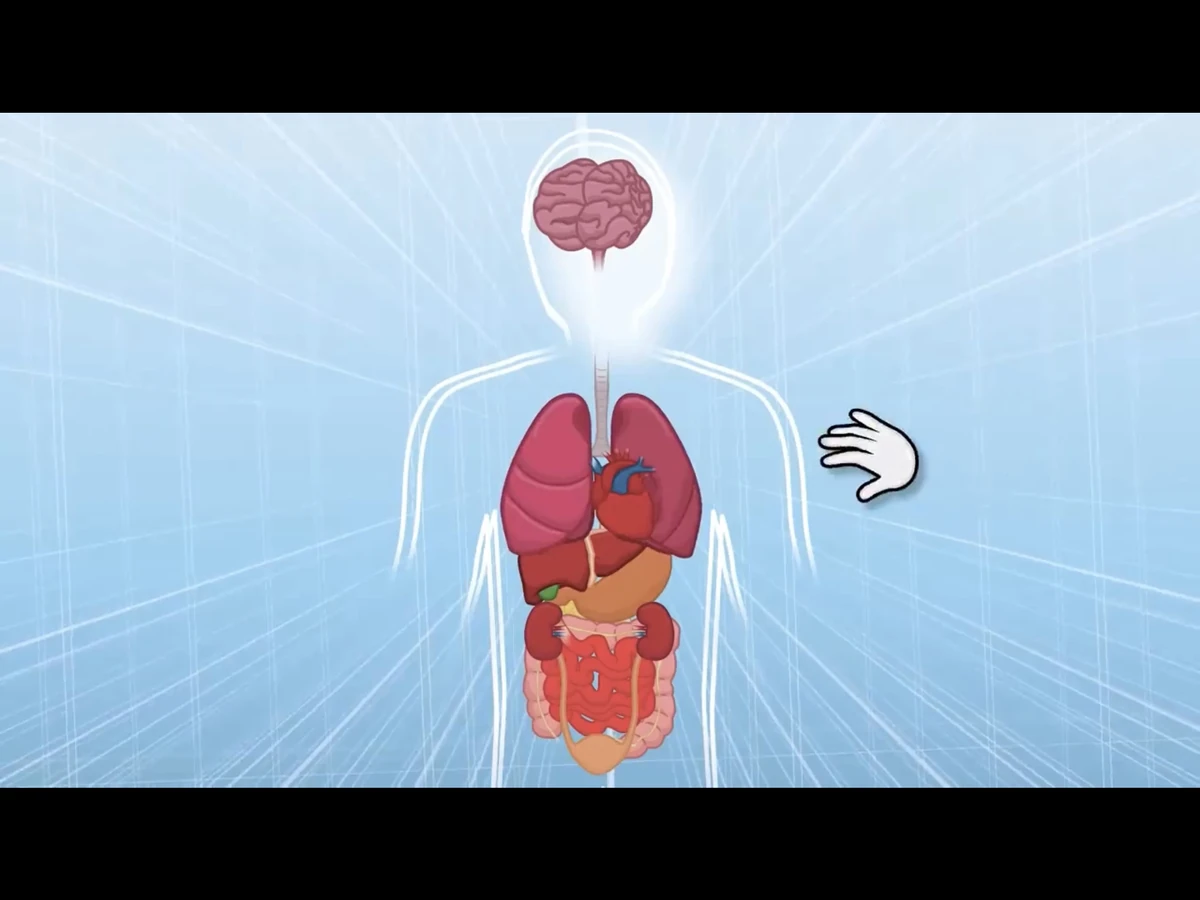 What if Organs had feelings?/Gallery | Human Buddy Wiki | Fandom