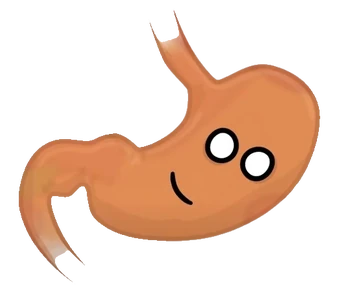 Stomach | Human Buddy Wiki | Fandom