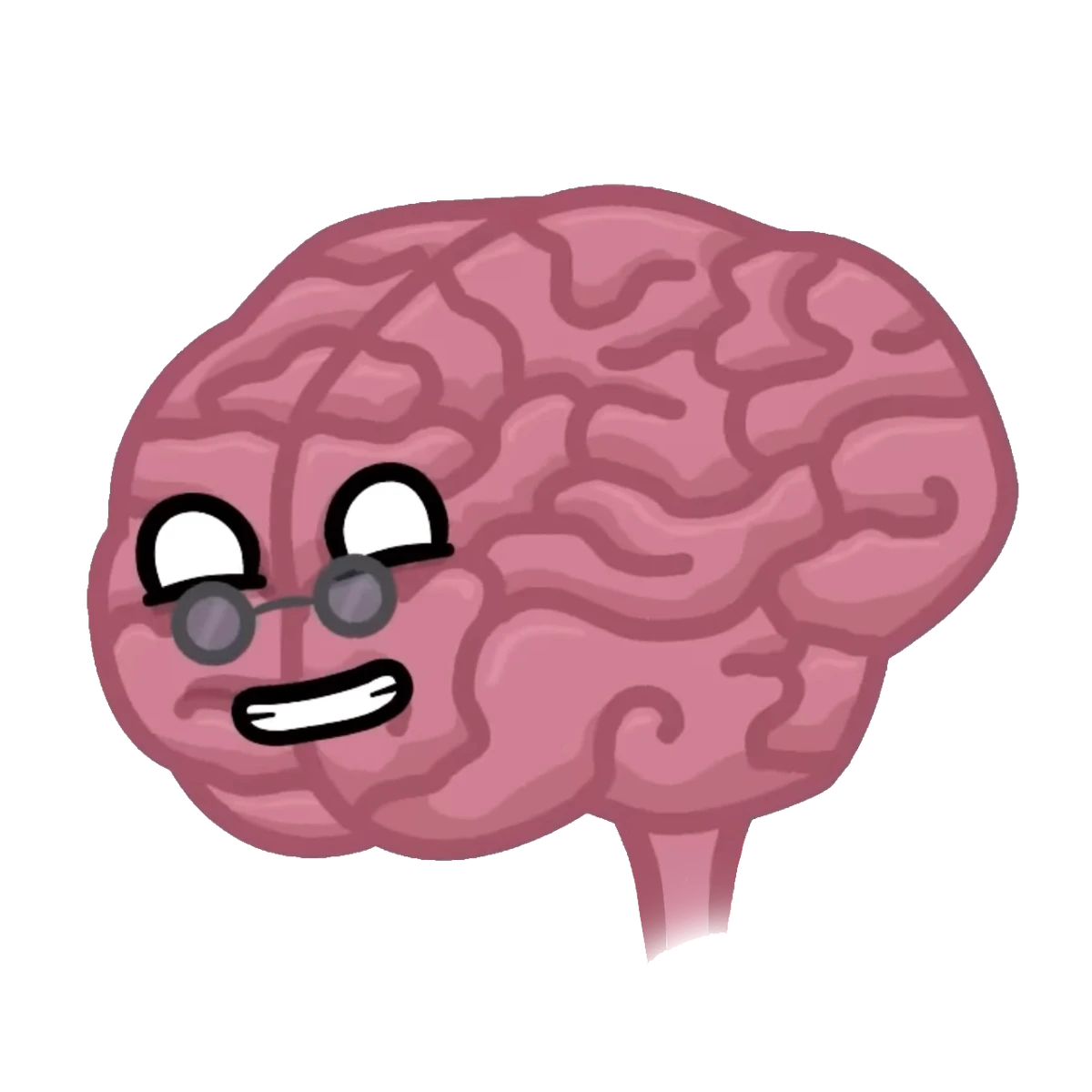 Brain | Human Buddy Wiki | Fandom