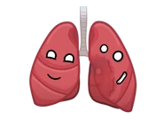 Human Buddy Wiki | Fandom