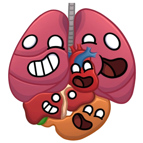 We rank all the Organs!/Transcript | Human Buddy Wiki | Fandom