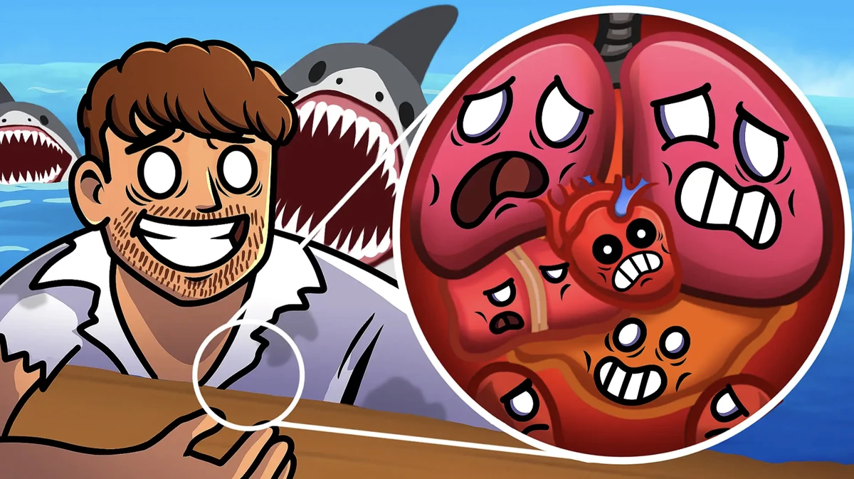 What happened to MrBeast in 7 Days Stranded At Sea? | Human Buddy Wiki ...