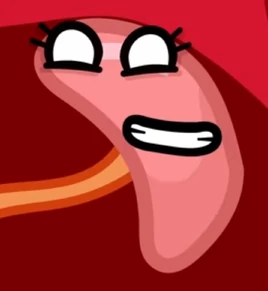 Placenta | Human Buddy Wiki | Fandom