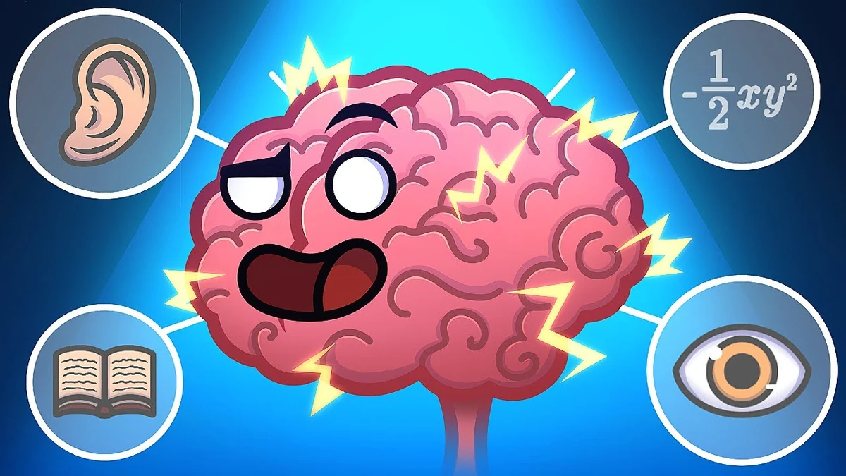 Do we only use 10% of our brain? | Human Buddy Wiki | Fandom