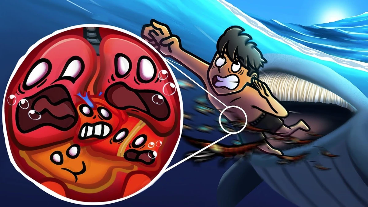 What if you get swallowed by a WHALE? | Human Buddy Wiki | Fandom
