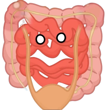 Intestines | Human Buddy Wiki | Fandom