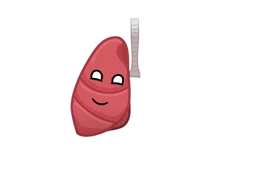 Lungs | Human Buddy Wiki | Fandom