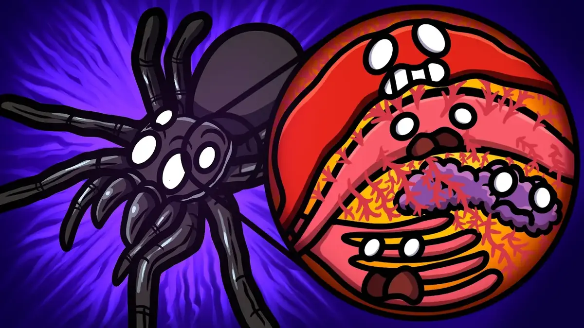 Are your organs different from a BUG's? | Human Buddy Wiki | Fandom