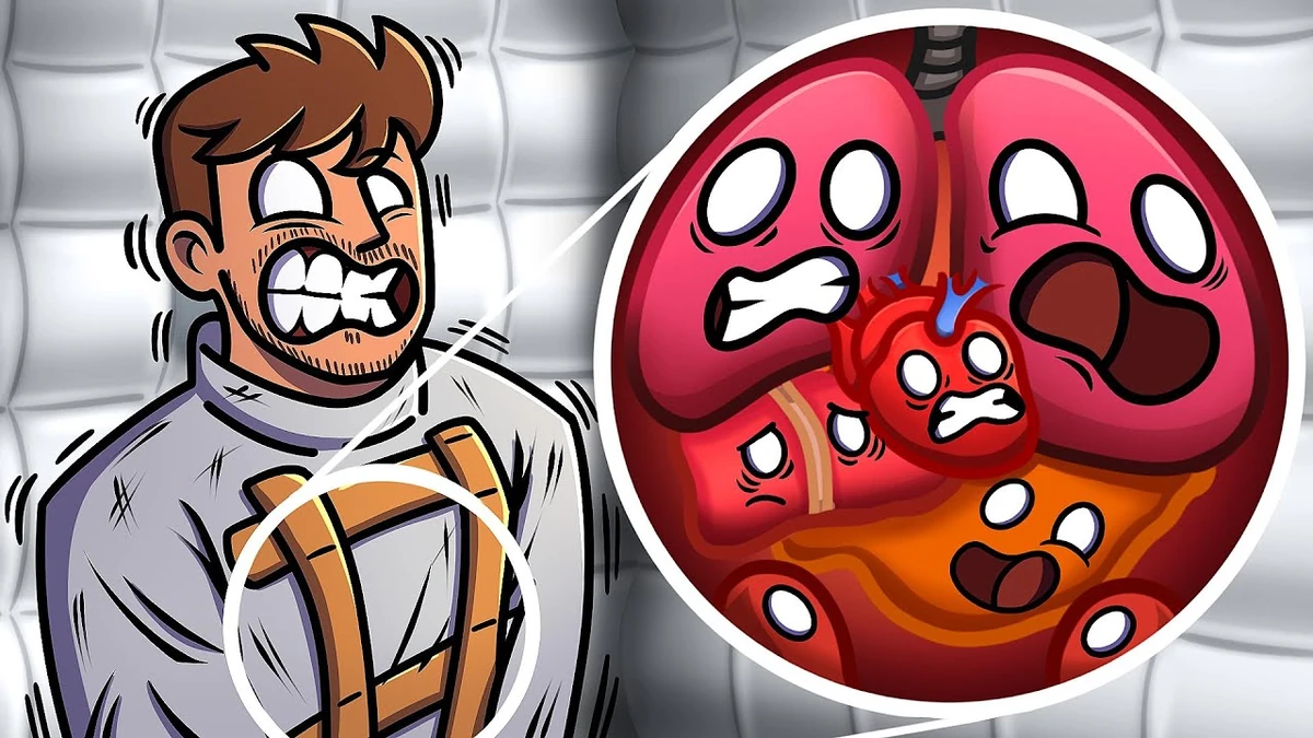 What happened to MrBeast in 7 Days of Solitary Confinement? | Human ...