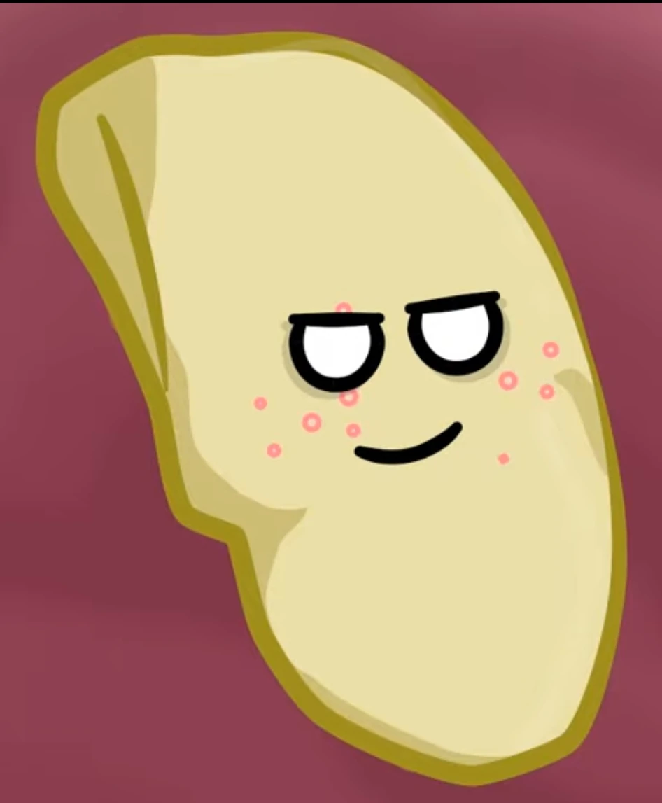 Hypothalamus | Human Buddy Wiki | Fandom