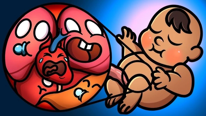 Your organs when you're BORN! | Human Buddy Wiki | Fandom