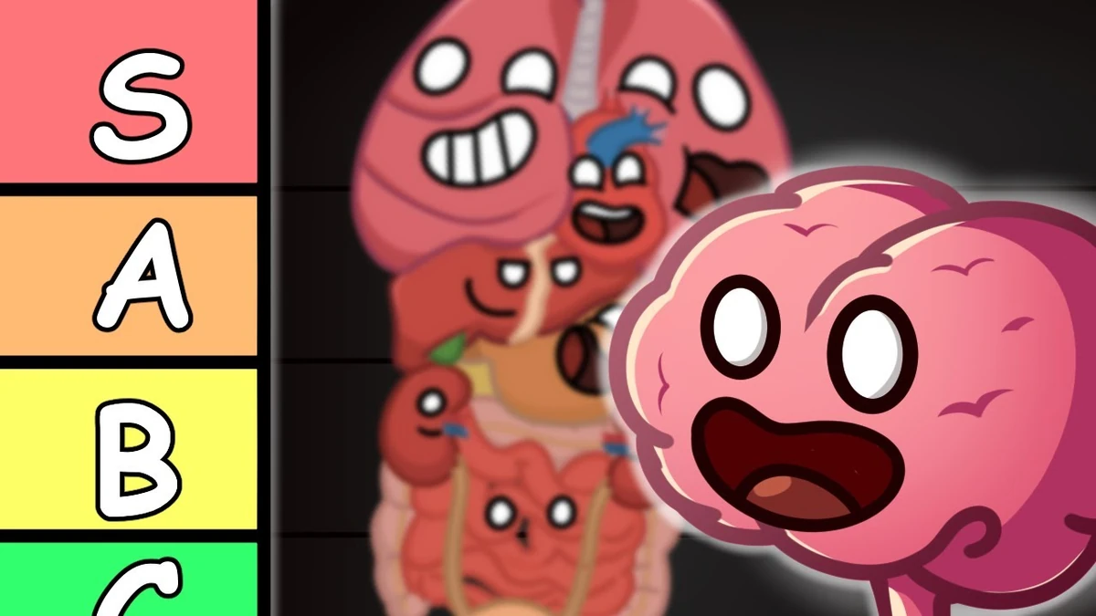 We rank all the Organs! | Human Buddy Wiki | Fandom