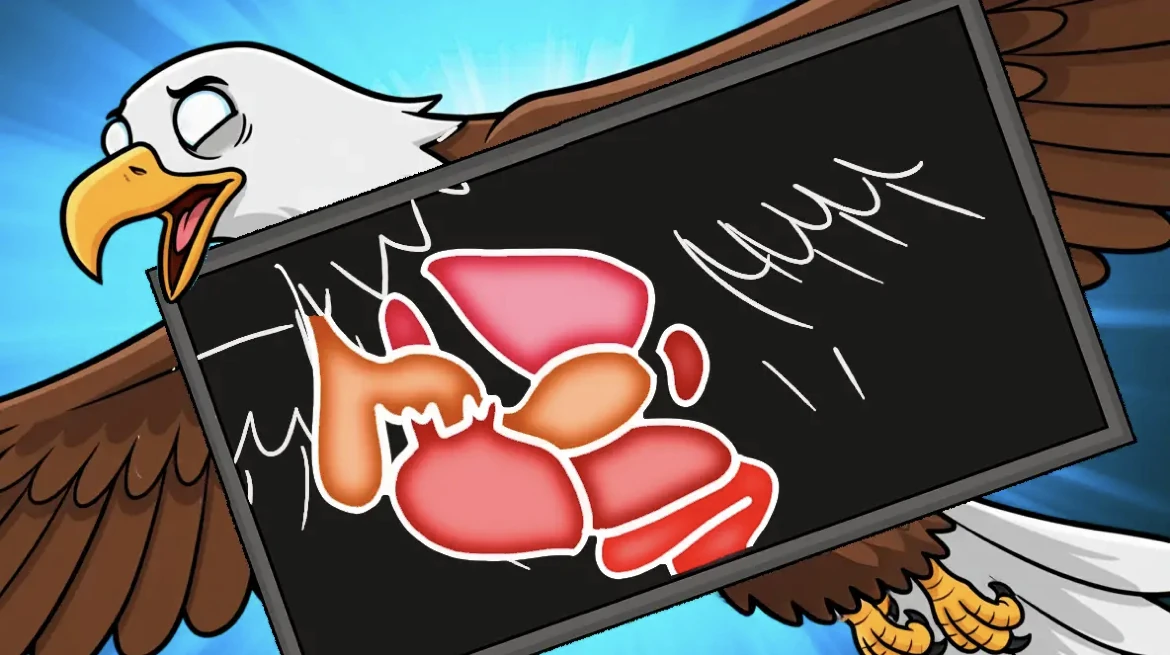 Are your organs different from a BIRD's? | Human Buddy Wiki | Fandom