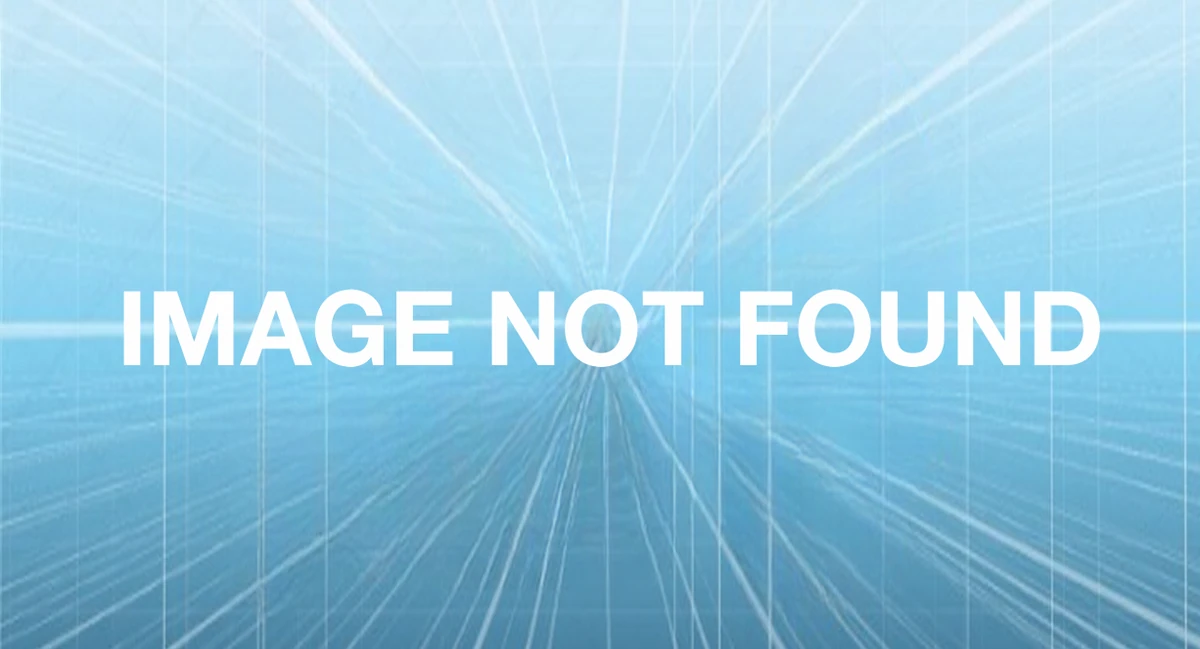 Diaphragm | Human Buddy Wiki | Fandom
