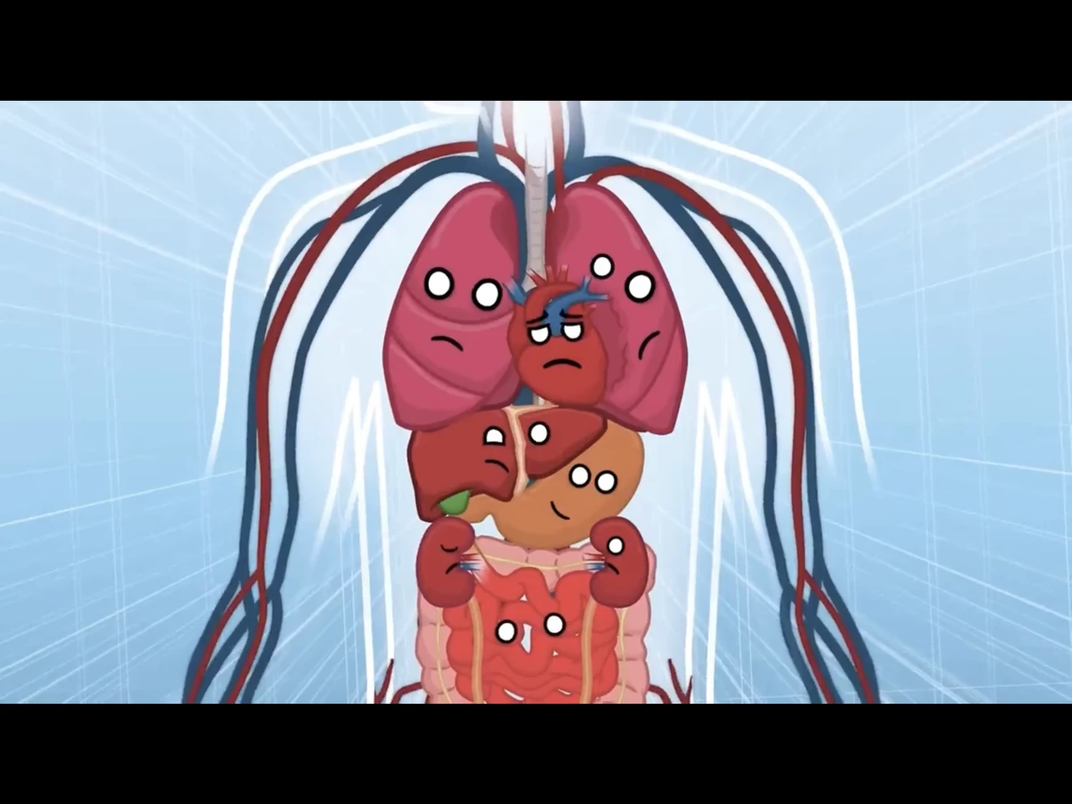 Side effects of living in SPACE!/Gallery | Human Buddy Wiki | Fandom