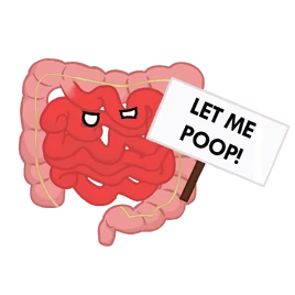 Intestines | Human Buddy Wiki | Fandom