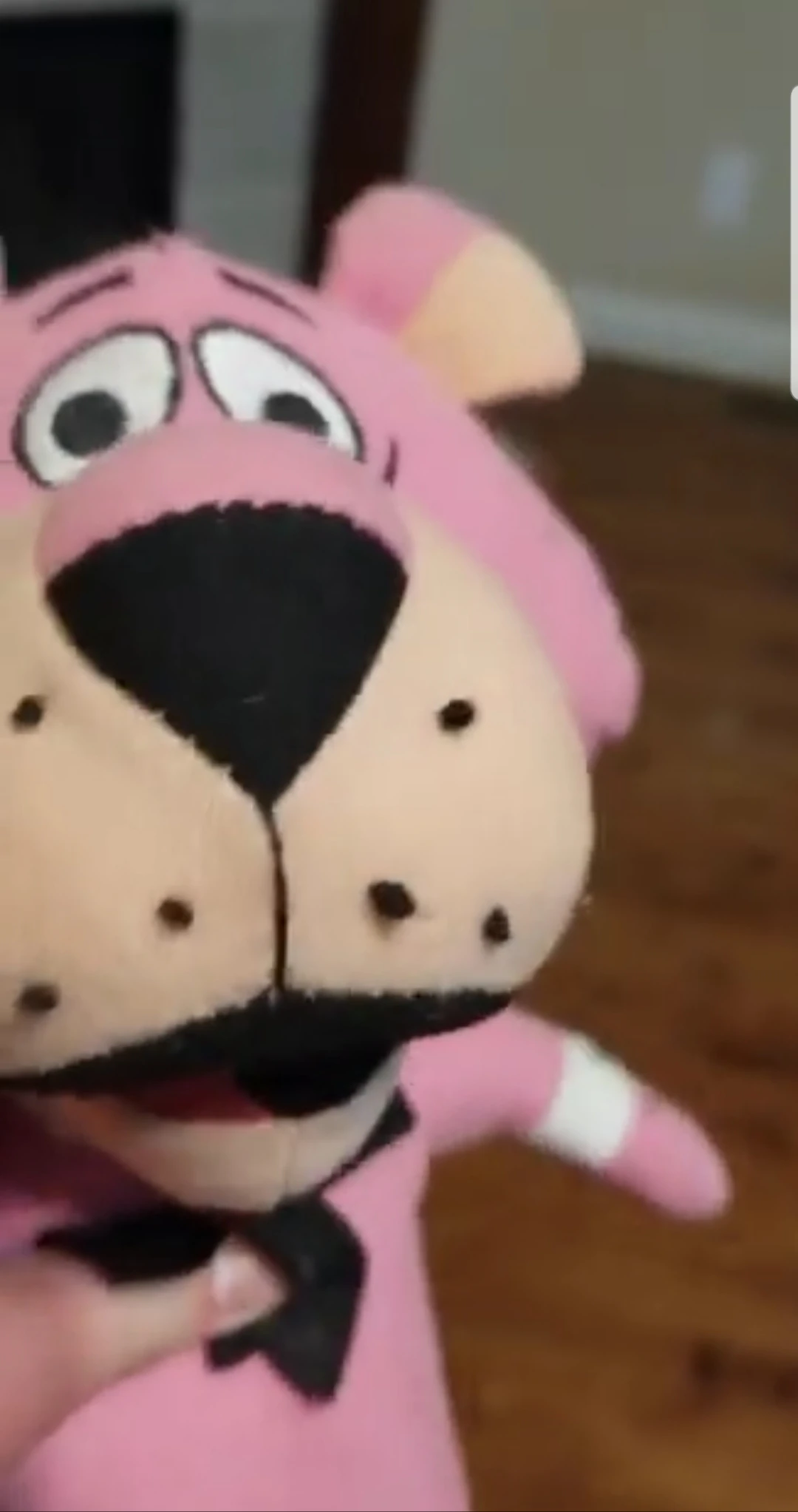 Snagglepuss | Human Tish and Tash show Wiki | Fandom