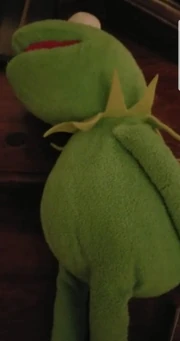 Kermit the Frog | Human Tish and Tash show Wiki | Fandom