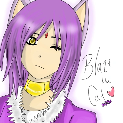 blaze the cat human