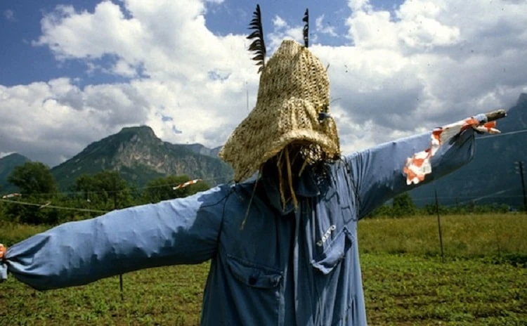 Hm 595 | Humane laboratorys Wiki | Fandom