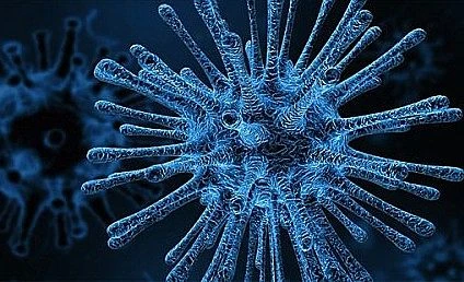 Hm 262 | Humane laboratorys Wiki | Fandom