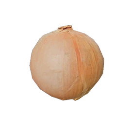Onion | HumanitZ Wiki | Fandom