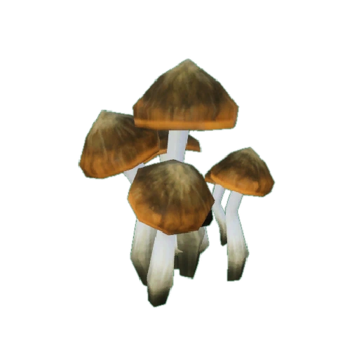 Mushrooms | HumanitZ Wiki | Fandom