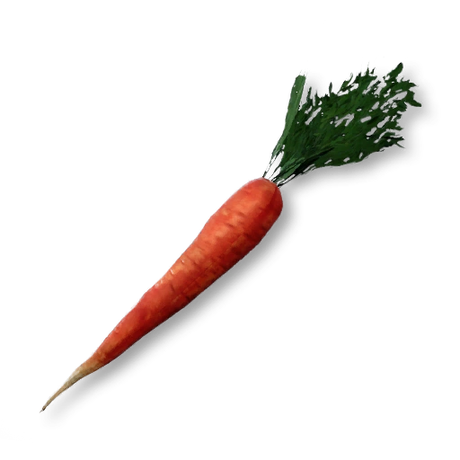 Carrot | HumanitZ Wiki | Fandom