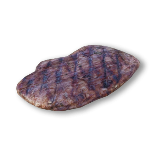 Cooked Meat | HumanitZ Wiki | Fandom