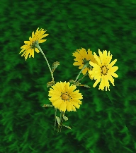 Dandelion | Humankind 2 Wiki | Fandom