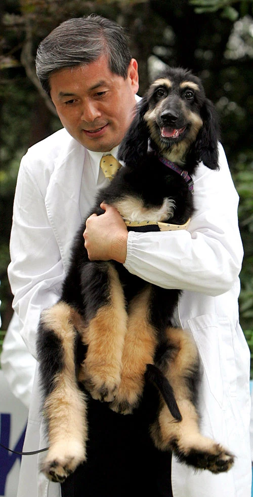 Snuppy | Hunde Wiki | Fandom