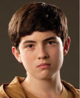 District 3 Male Tribute (74 HG) | Hunger Gamepedia Wiki | Fandom