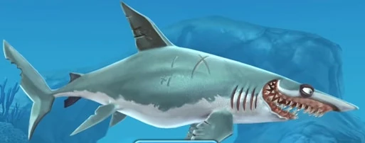 Мако | Hungry Shark World вики | Fandom