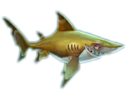 Blacktip Reef Shark | Hungry Shark Wiki | Fandom