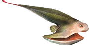 Gulper Fish | Hungry Shark Wiki | Fandom