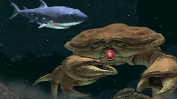 Hungry Shark Evolution Megalodon Vs Giant Crab