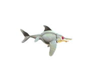 Echo (Ichthyosaur) | Hungry Shark Wiki | Fandom