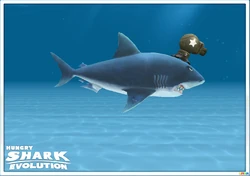 Hungry Shark Evolution Great White