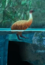 Moa | Hungry Shark Wiki | Fandom