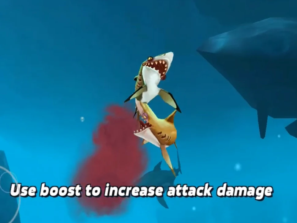 Black Tip Shark Bite