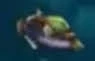 Tropical Fish (HSW) | Hungry Shark Wiki | Fandom