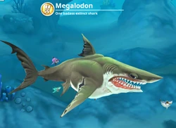 Hungry Shark Evolution Megalodon Unlock