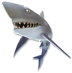 Baby Mako Shark | Hungry Shark Wiki | Fandom