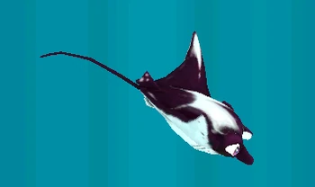 Manta Ray (HSE) | Hungry Shark Wiki | Fandom