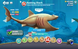 Basking Shark Games