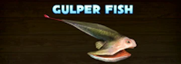 Hungry Shark Evolution Gulper Fish