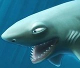 Hungry Shark Evolution | Hungry Shark Wiki | Fandom