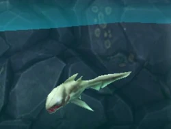 Electro Shark