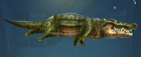 Saltwater Crocodile Eating Shark