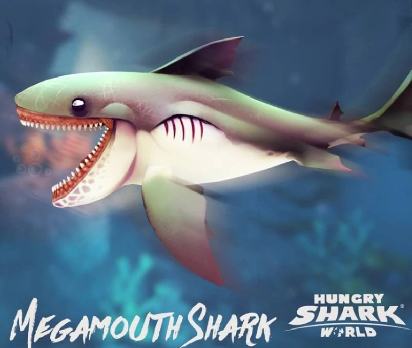 Megamouth Shark | Hungry Shark Wiki | Fandom